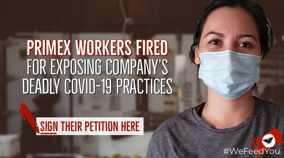 Primex workers fired for exposing company’s deadly COVID-19 practices ...