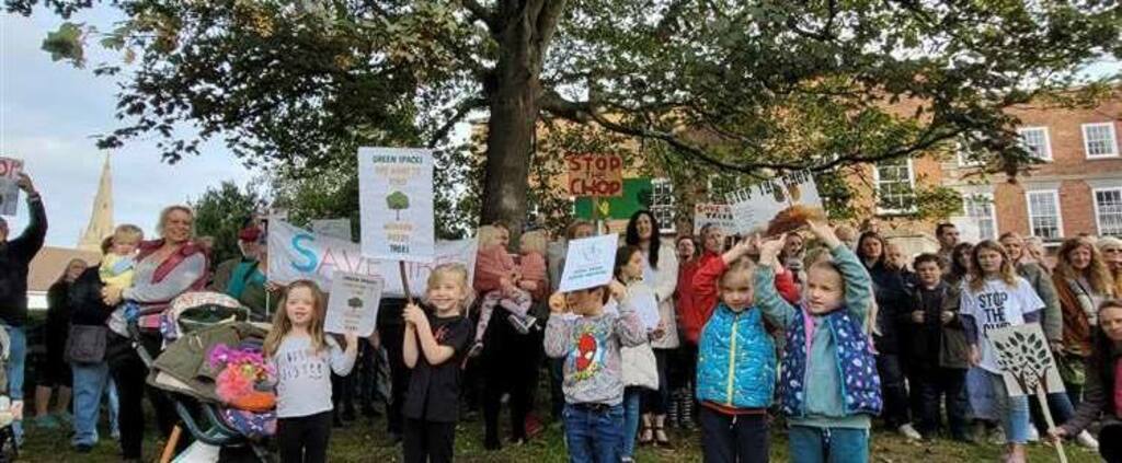 Stop the Chop and Save our Library Trees - Don’t cut down protected ...