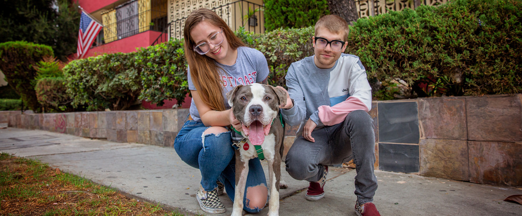 End Breed-Restrictive Insurance Practices in Puerto Rico | 2025 Action Team