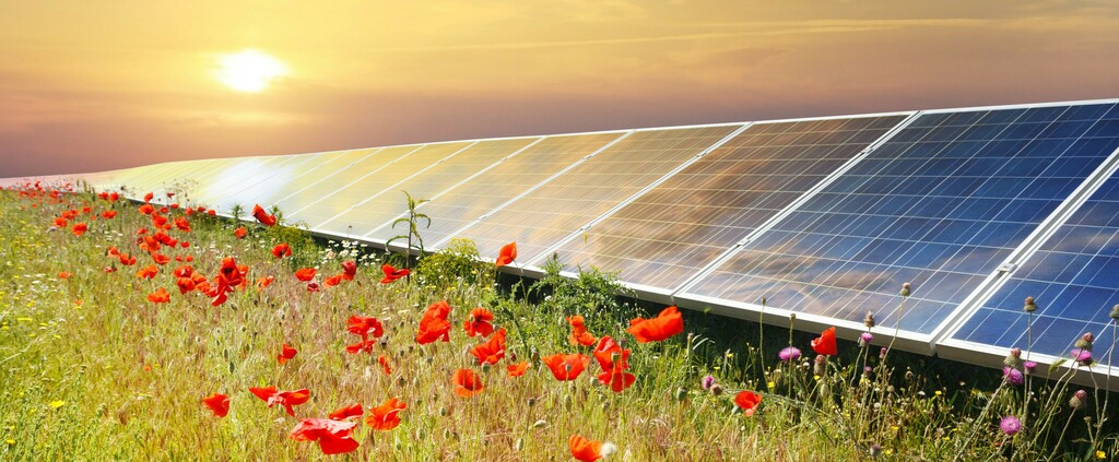 Sign the petition: tell the Government to rethink its solar ban plans ...