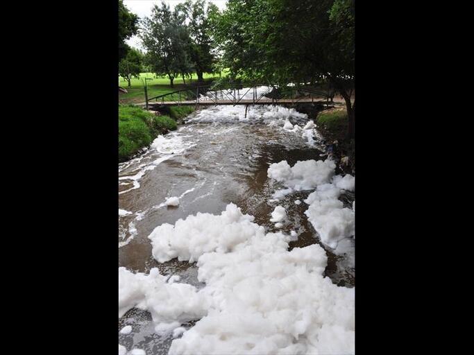 Take action to stop sewage pollution of the Hennops river | VUMA.EARTH
