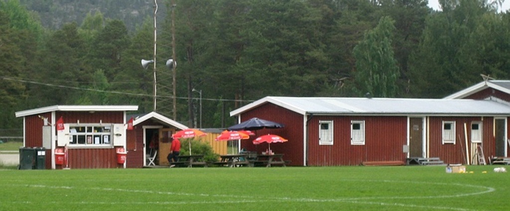 NEJ! - till Fredrik Reinfeldt som ordförande i Svenska Fotbollsförbundet | MittSkifte ...