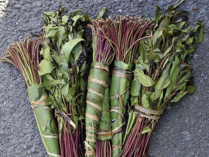 Lift the ban on khat | 38 Degrees