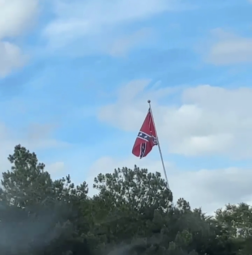 REMOVE THE REBEL FLAG ON 85 | MoveOn