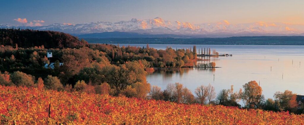 Stadtwerk am See: Raus aus der Gaslobby „Zukunft Gas”! | 350.org Community Campaigns