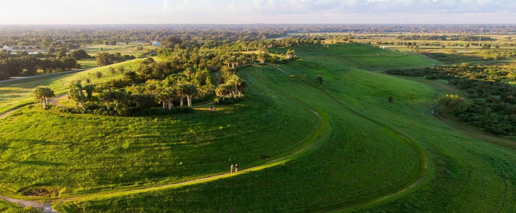 Protect Celery Fields! | MoveOn