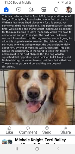 Remove Morgan County Dog Warden | MoveOn Remove Morgan County Dog Warden | MoveOn