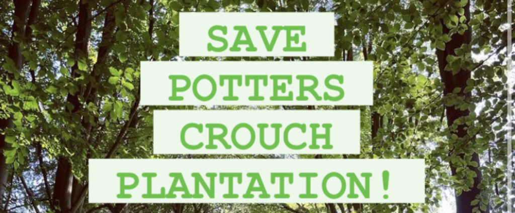 Save Potters Crouch Plantation! | 38 Degrees