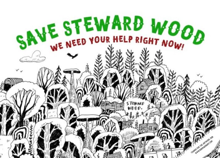 Save Steward Wood - Our Appeal has been rejected - help us save our ...