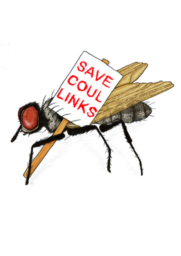 Save Fonseca’s seed fly | 38 Degrees