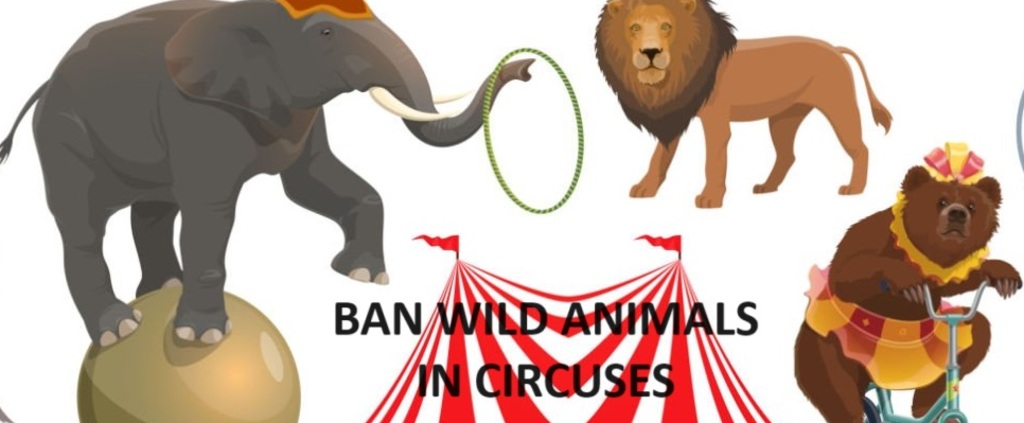 Ban wild animal acts in circuses in Washington State | MoveOn