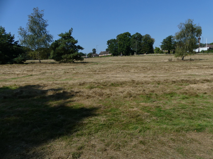 Nature Recovery | 38 Degrees