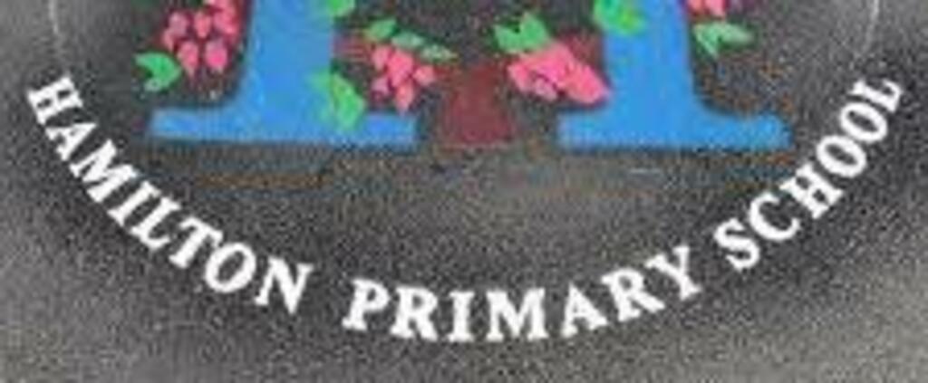 Hamilton Primary School restructuring proposal | 38 Degrees