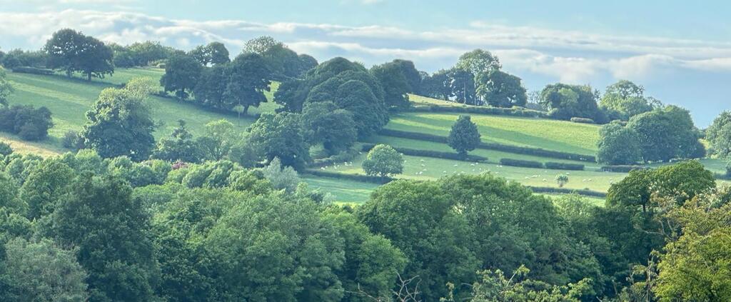 Save Amber Valley | 38 Degrees
