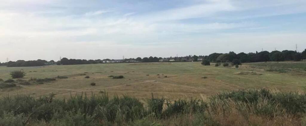 PROTECT MIDDLEWICK RANGE MAKE IT A Nature Reserve | 38 Degrees