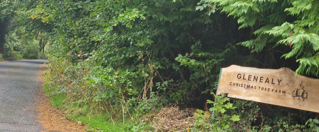 WATER SUPPLY ISSUES CHAPEL LANE GLENEALY | MyUplift