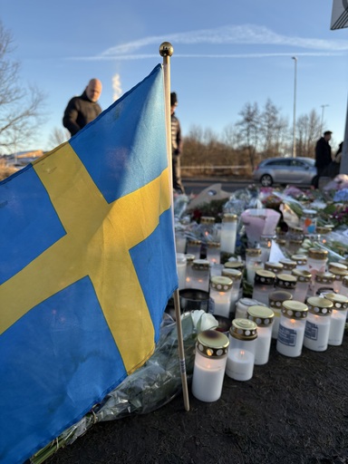 LÅT ELSAS MAN STANNA I SVERIGE | MittSkifte | namninsamling och kampanj ...