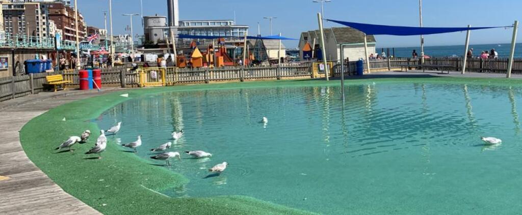 Repair Brighton's Kings Road paddling pool and keep it open for summer ...