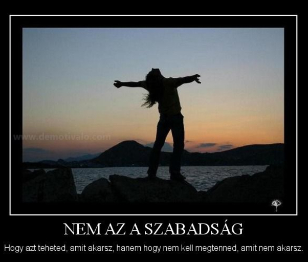 Nem kell a hamis digitális állampolgárság, de még az analóg sem ...