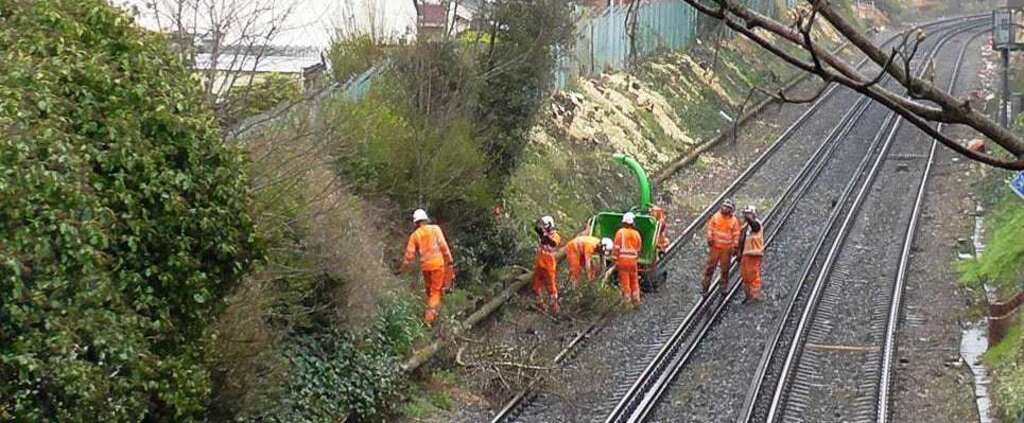 Stop Network Rail Felling Millions of Trees | 38 Degrees