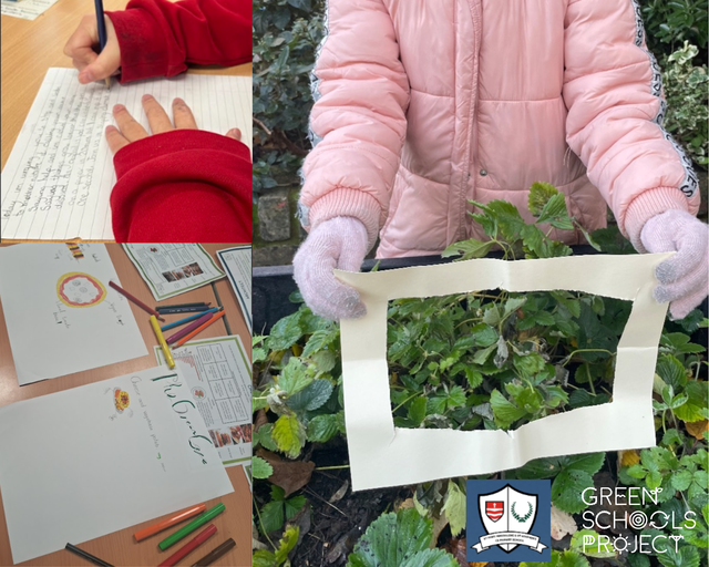 Teach children in the UK how to help the planet! | 38 Degrees