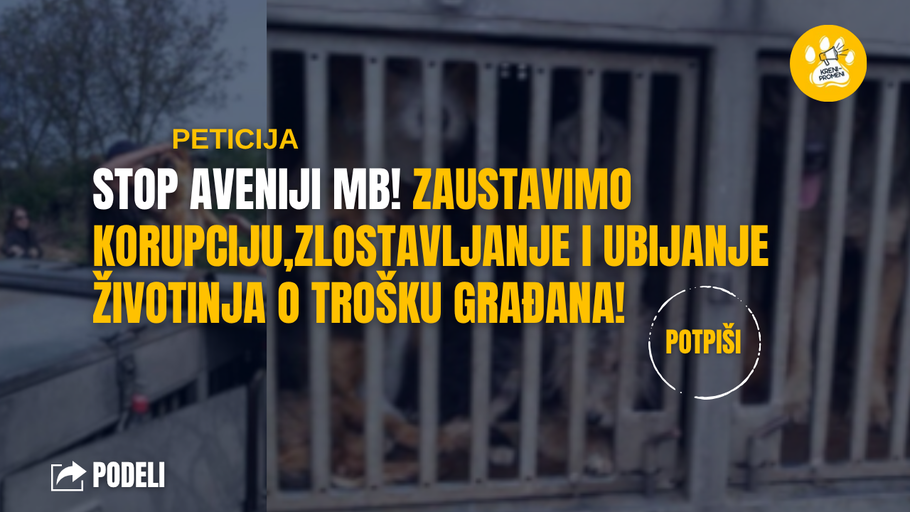 Stop Aveniji MB! Zaustavimo korupciju,zlostavljanje i ubijanje ...