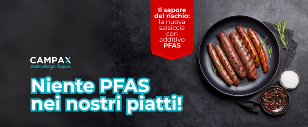 Niente PFAS nei nostri piatti! | ACT by Campax