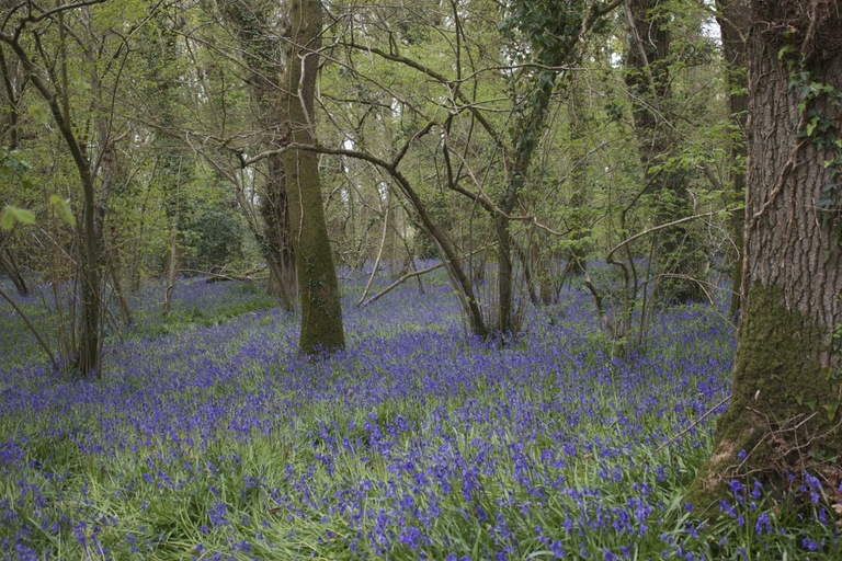 Protect National Landscapes (Areas of Outstanding Natural Beauty) | 38 ...