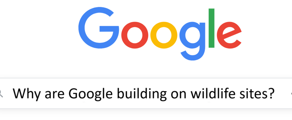 Save Arena Essex- Tell Google to search elsewhere! | 38 Degrees