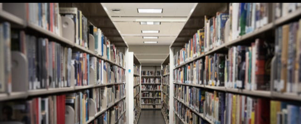 Say No to Defunding Corpus Christi Public Libraries | Fight For The First