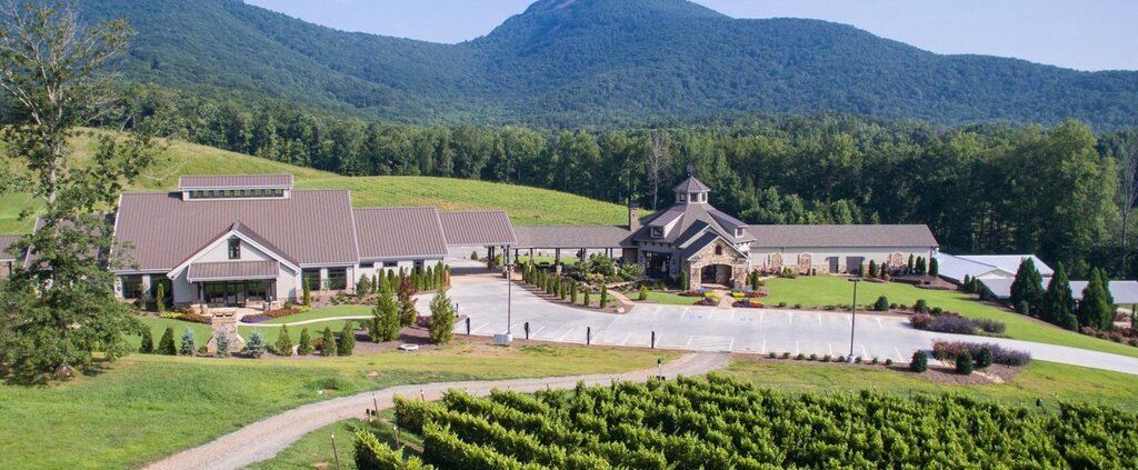 🍷 Wine Time, Y’all! Then We Rally with Sign Waving & Good Trouble ...