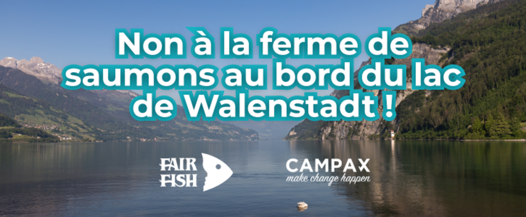 Non à la ferme de saumons au lac de Walenstadt ! | ACT by Campax