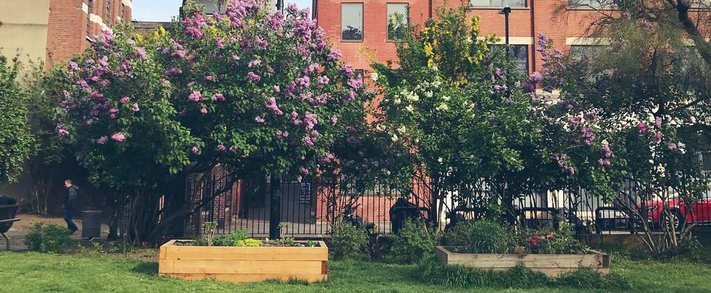 Save Spa Fields park from Clerkenwell Design Week | 38 Degrees