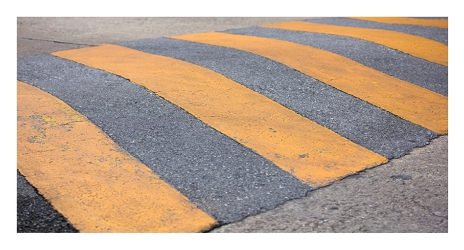 Install speed bumps on Molly Circle | MoveOn