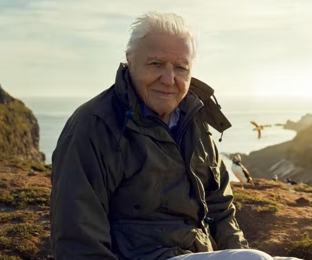 The BBC should broadcast Sir David Attenborough's Wild Isles episode on ...