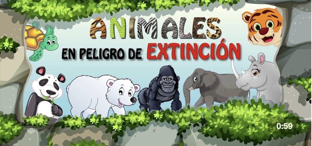 Ayudar a los animales en peligro de extinción - Panamá | Somos Puentes