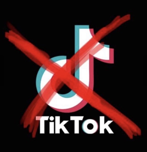 Global Citizens For Justice Against TikTok: We Stand With Nnete Matima ...