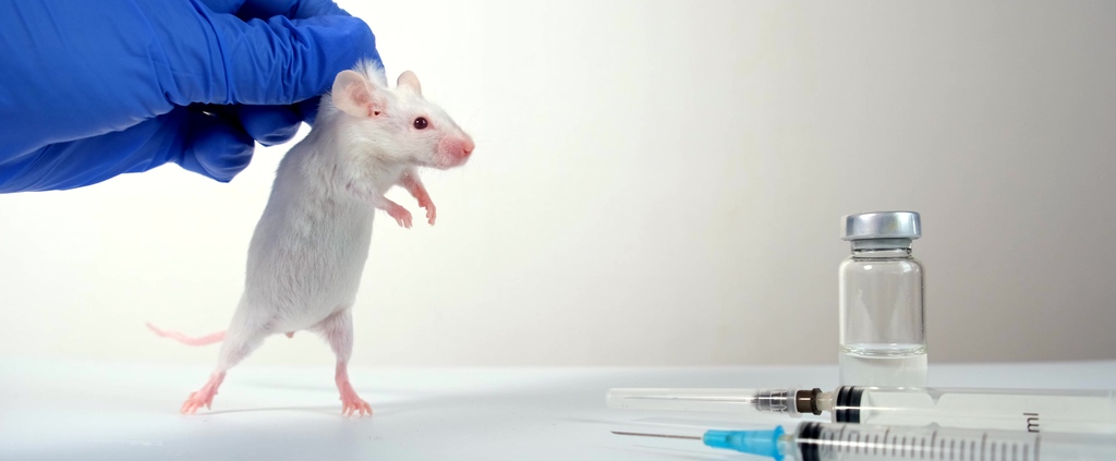 Stop BOTOX Animal Testing | Uplift