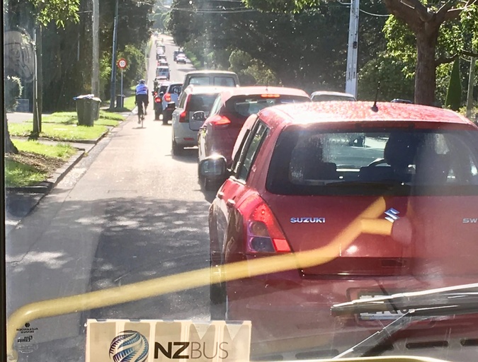 Make Meola Road Safe! New Zebra Crossing | Community Platform