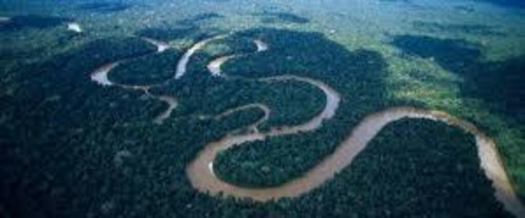 Amazonas Colombianas | Somos Puentes