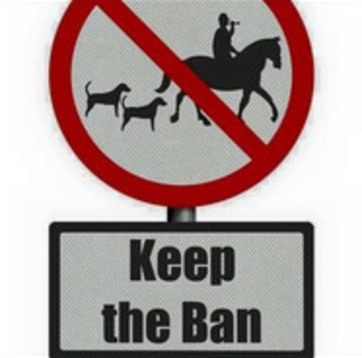 Keep the Ban on Fox Hunting | 38 Degrees