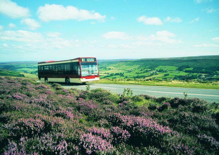 Please bring back the No 30 bus | 38 Degrees