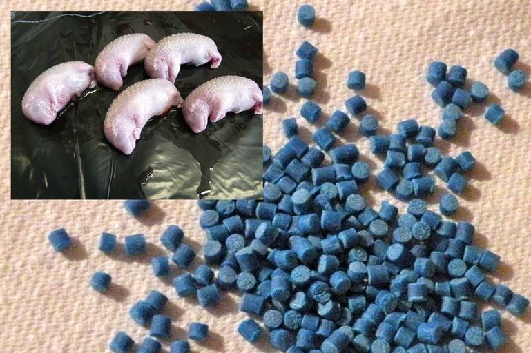 Reinstate the ban of Metaldehyde Slug pellets | 38 Degrees