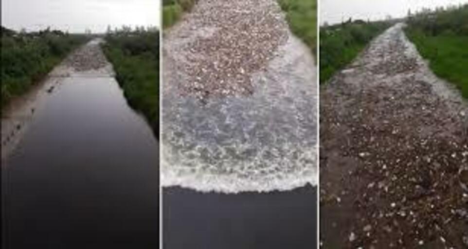 Contaminación del río Salí | Somos Puentes