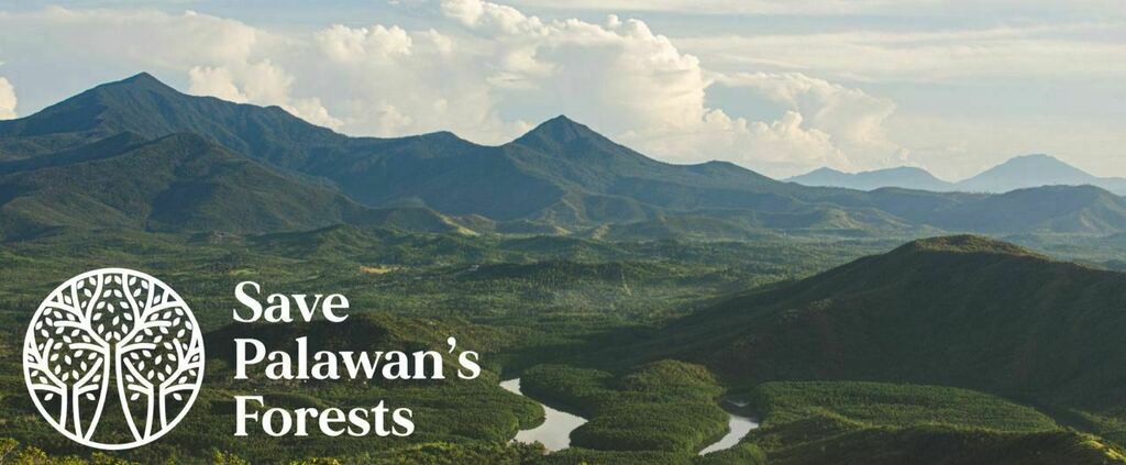 Let's Save Palawan's Forests! | BATARIS